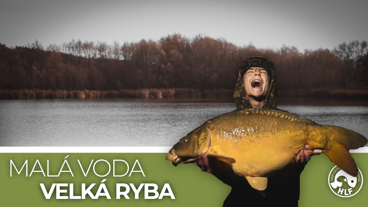 Velká RYBA z malé vody | Carp Fishing - rybářská videa | MRK.cz