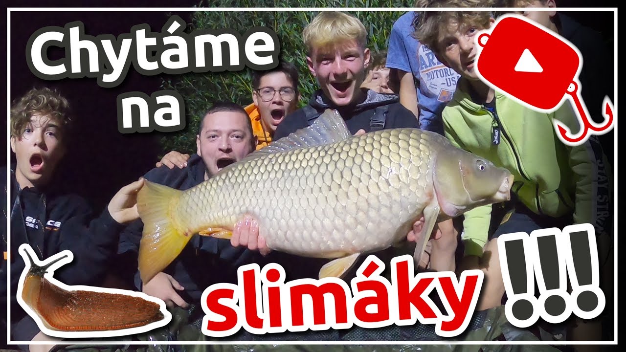 Je slimák účinná nástraha? | Lov kaprů a amurů | Rybářský tábor Holín ...